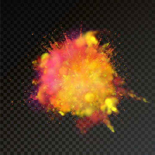 Explosion of colored powder Royalty Free Vector Image