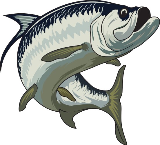 Tarpon Fishing Logo Royalty Free Vector Image - VectorStock