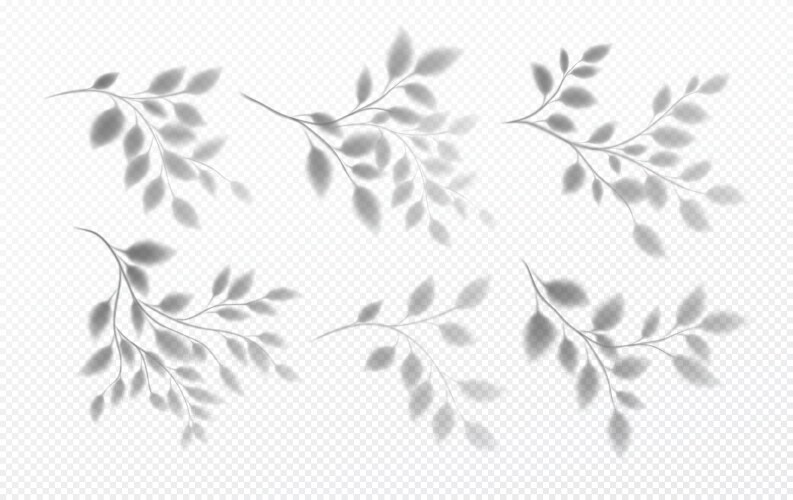 Tree Shadow Vector Images (over 27,000)