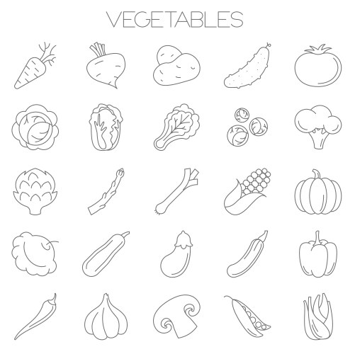 Outline hand drawn vegetable pattern flat style Vector Image