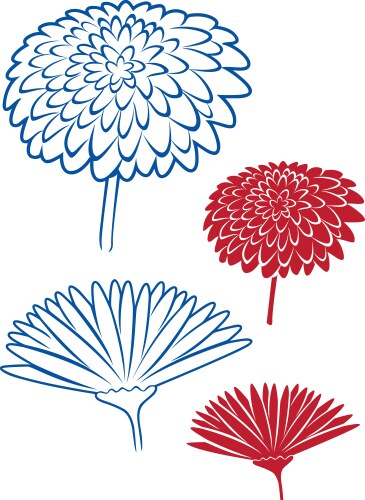 Chrysanthemum Vector Images (over 10,000)