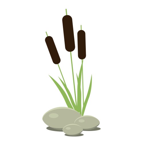 Small lake with reeds in cartoon style Royalty Free Vector