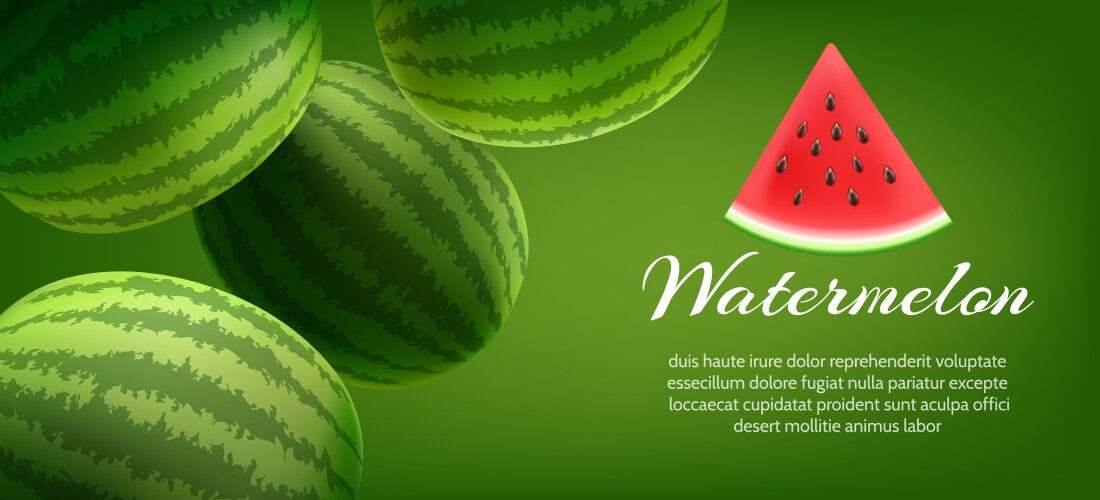 Realistic watermelon on transparent background Vector Image