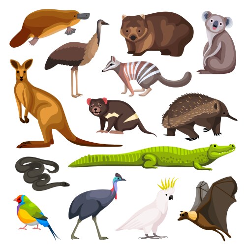 Australian animals icon set Royalty Free Vector Image