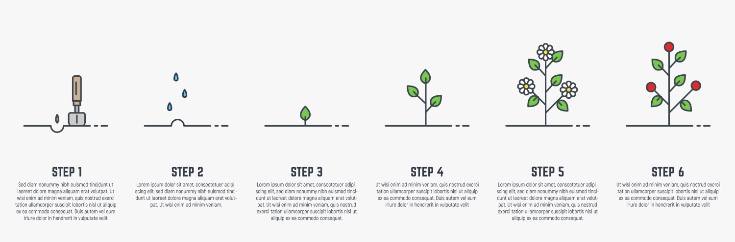 Stages of growing up life cycle graph Royalty Free Vector