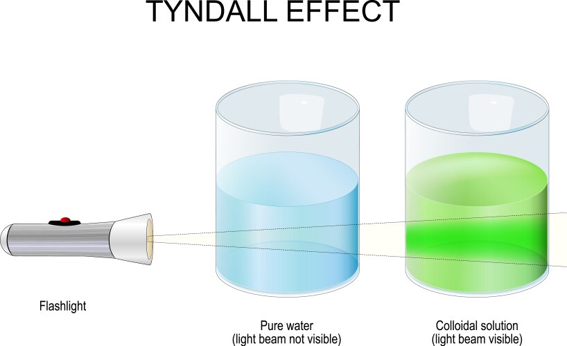 Experiment with salt and water making a saline Vector Image