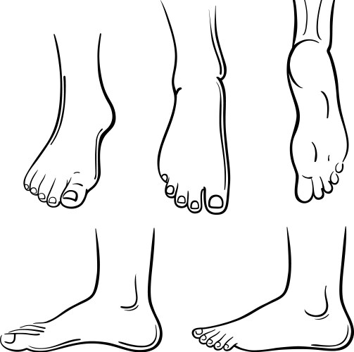 Leg Outline Vector Images (over 35,000)
