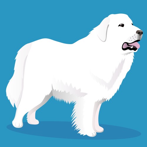 Great Pyrenees Vector Images (57)