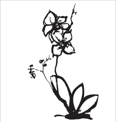 Simple orchid Royalty Free Vector Image - VectorStock