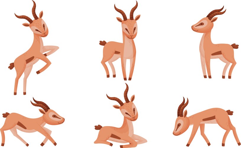 Cartoon impala collection set Royalty Free Vector Image