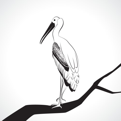 Stork Vector Images (over 9,000)