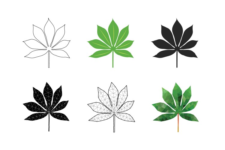Cassava Leaf Vector Images (over 200)