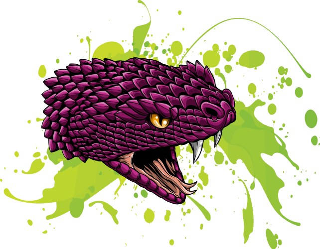 Angry Snake Head Cartoon Vector Images (over 570)