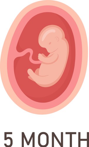 Pregnant Woman Inside Anatomy Vector Images (over 120)