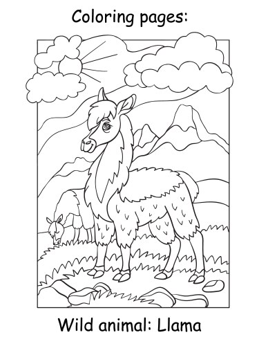 Coloring book page and color template llama Vector Image