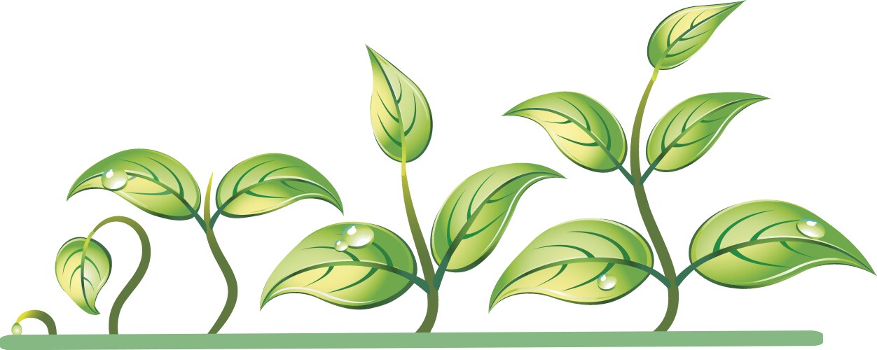 Seedling Vector Images (over 28,000)