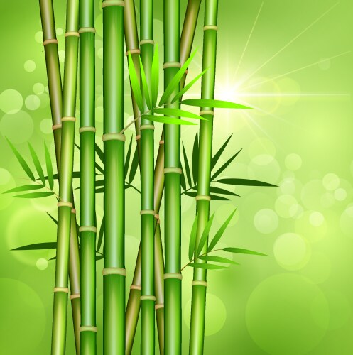 Bamboo Vector Images (over 45,000)