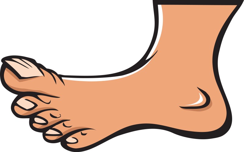 Cartoon Foot Vector Images (over 38,000)