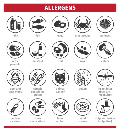 Set of food allergens Royalty Free Vector Image