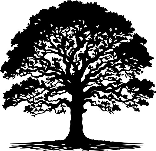 Beautiful tree silhouette white background Vector Image