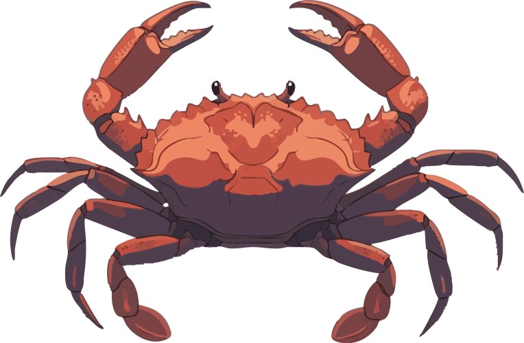 Hermit crab sea animal nature wildlife Vector Images & Graphics for ...