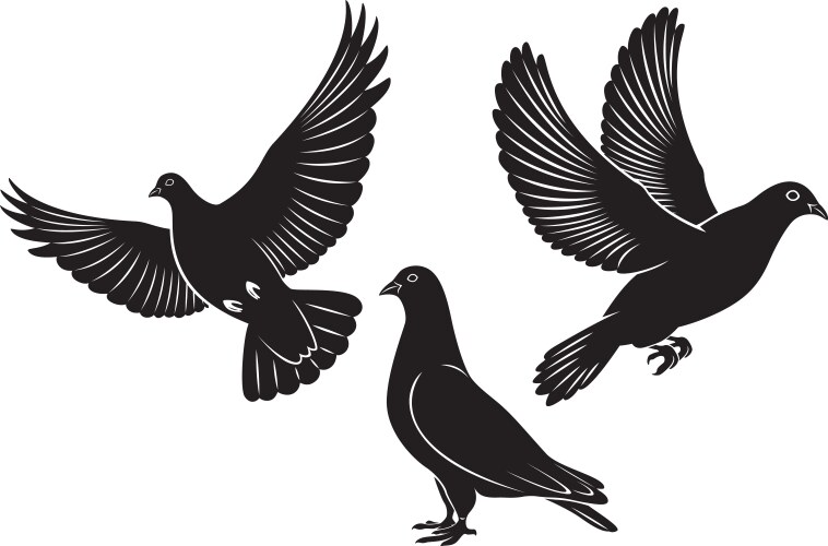 Dove Vector Images (over 60,000)