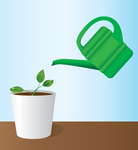 Different stages growing young plant botanical Vector Image