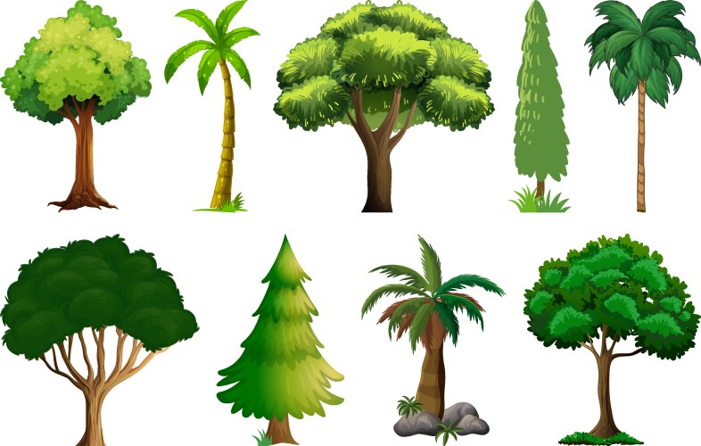 Cartoon trees and bushes green plants Royalty Free Vector