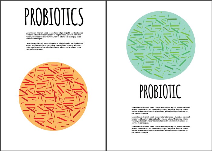 Probiotics types poster Royalty Free Vector Image