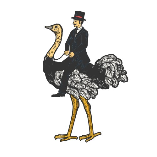 Gentleman riding an ostrich sketch Royalty Free Vector Image