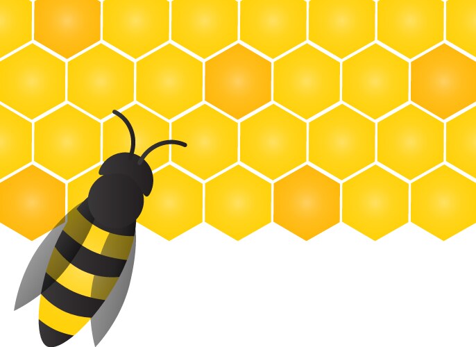 Bees wasps and honeycombs with honey Royalty Free Vector
