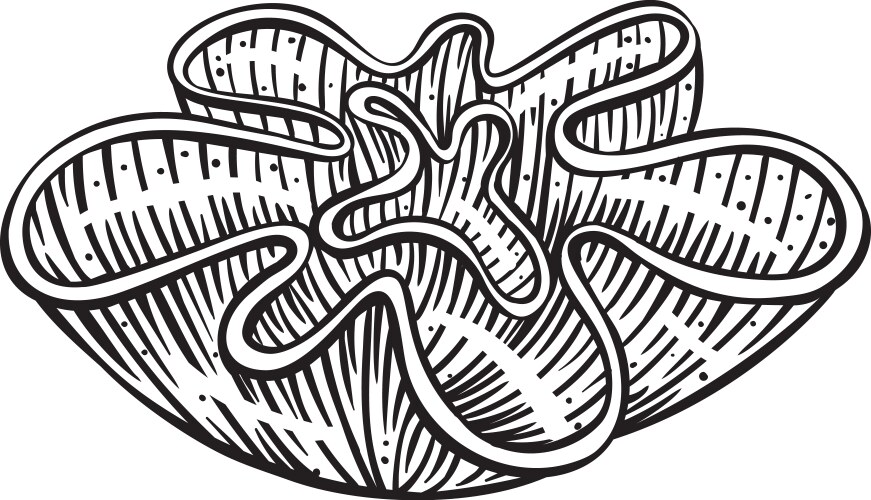 Coral Outline Vector Images (over 10,000)