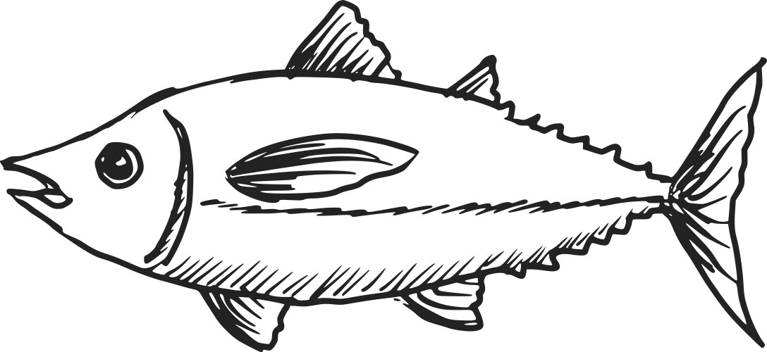 Blue Fin Tuna Cartoon Vector Images (over 280)