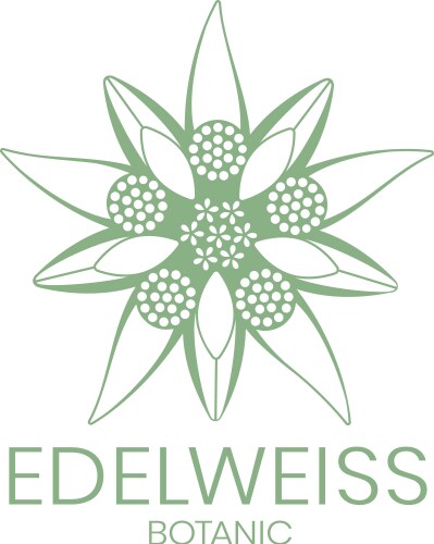 Edelweiss Flower Logo Vector Images (over 140)