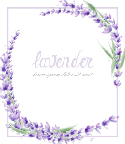 Label with lavender Royalty Free Vector Image - VectorStock