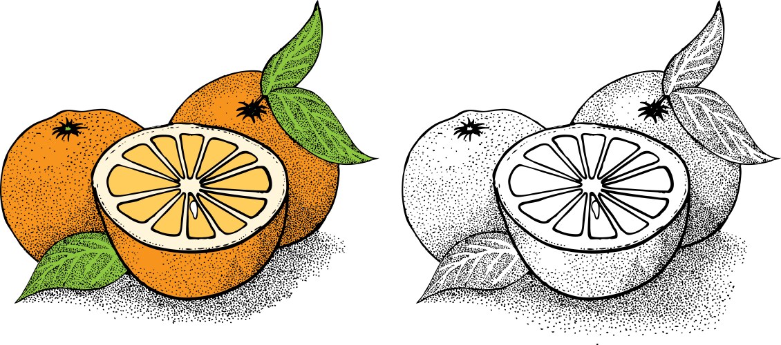 Orange Outline Clipart