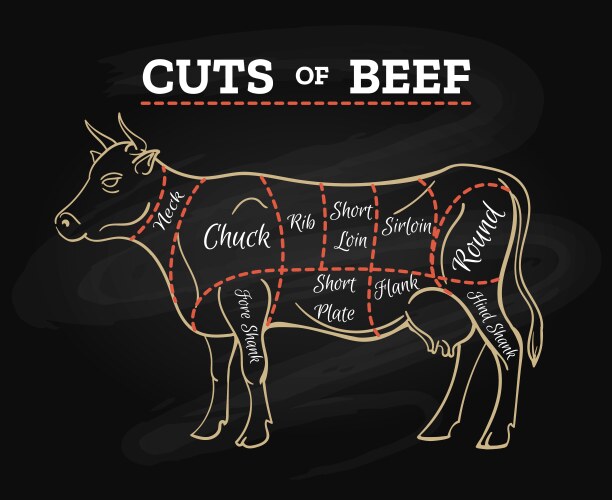 Cow Parts Vector Images (over 790)