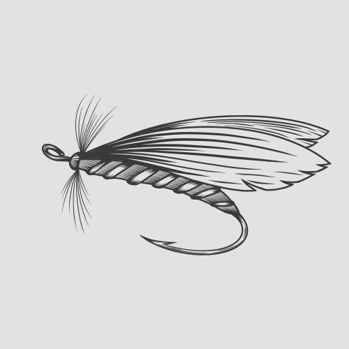 Dry fly Royalty Free Vector Image - VectorStock