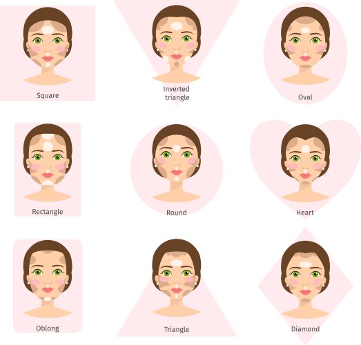 Set of different woman face types Royalty Free Vector Image