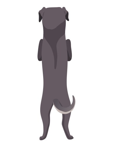 Dog Back View Vector Images (over 370)