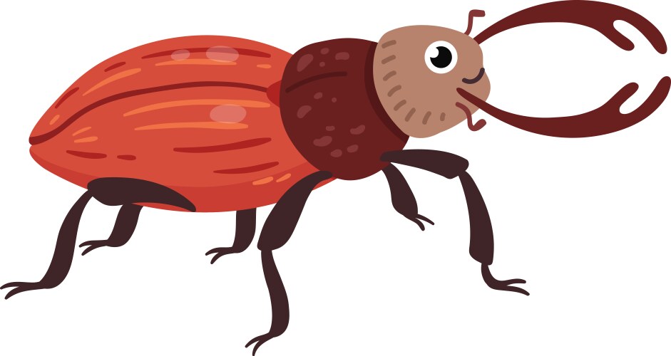 Stag Beetle Vector Images (over 2,800)