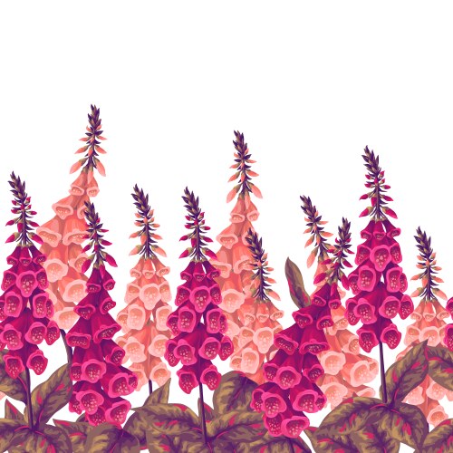 Foxglove Vector Images (over 400)