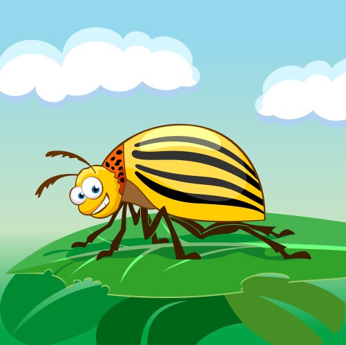 Colorado potato beetle Royalty Free Vector Image