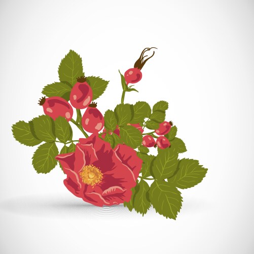 Floral bouquet with garden red white burgundy rose