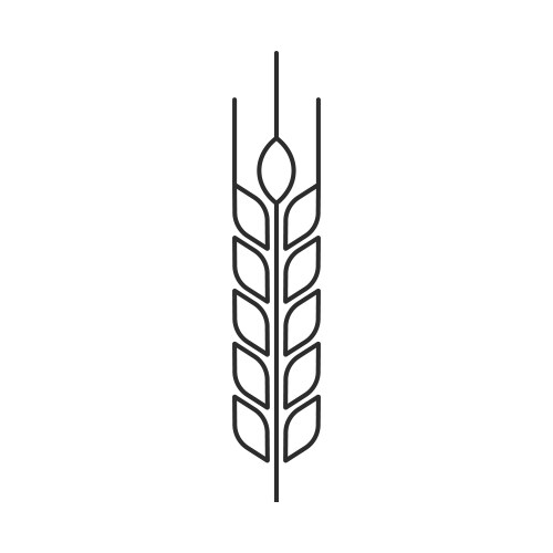 Grain logo wheat symbol Royalty Free Vector Image