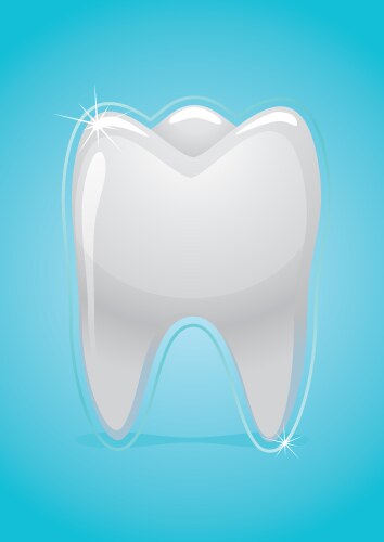 Teeth Royalty Free Vector Image - VectorStock
