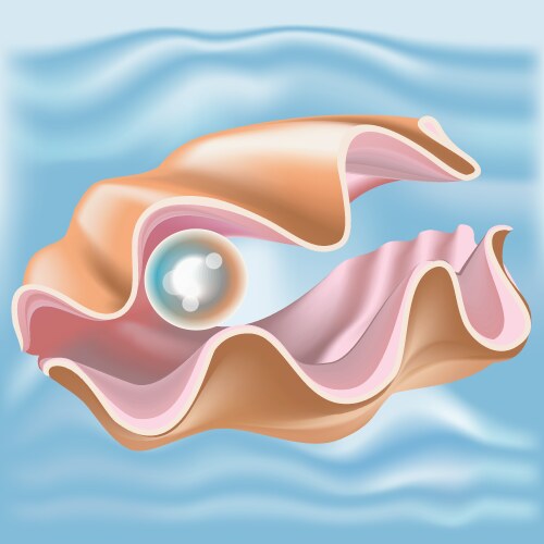 Oyster Pearl Vector Images (over 3,900)