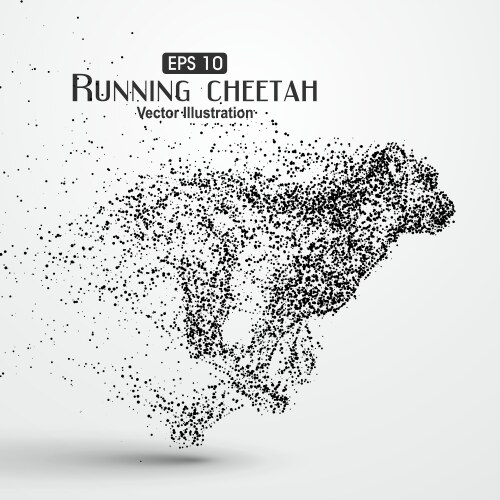 Cheetah Vector Images (over 25,000)