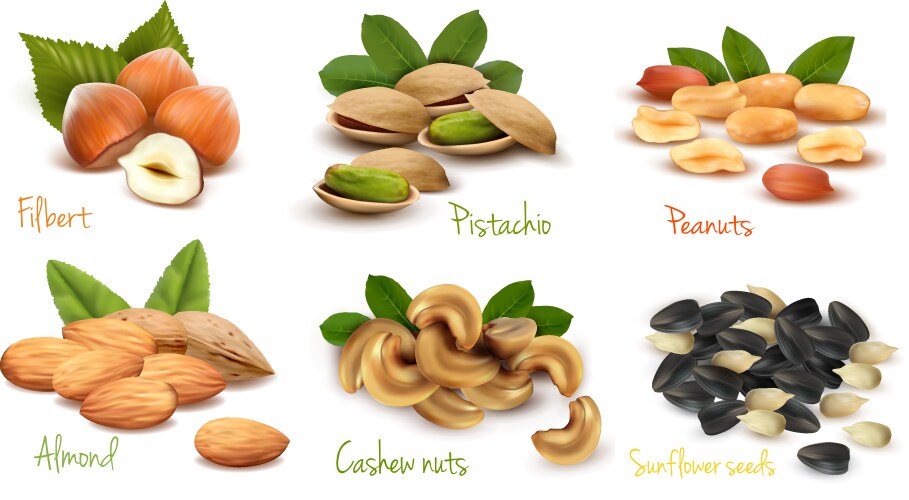 Mega collection of colorful nuts Royalty Free Vector Image