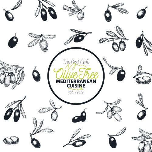 Olive tree banner template vintage Royalty Free Vector Image